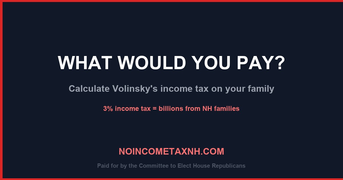 Income Tax Calculator | NH